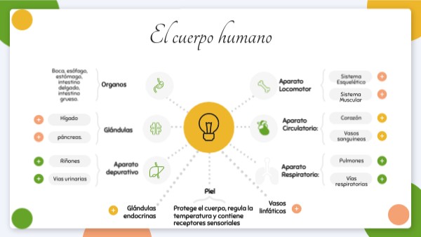 El cuerpo humano | Genially