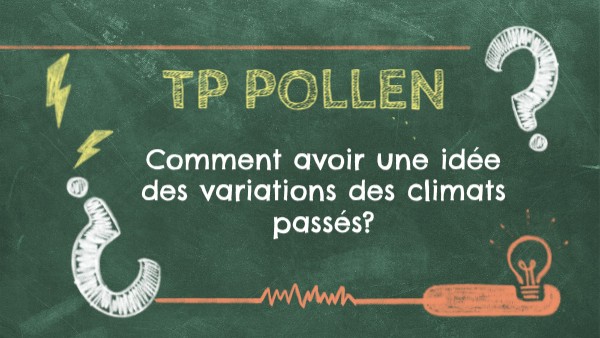 TP pollen Outils et Mission | Genially
