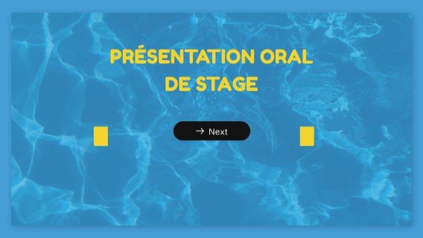 Présentation Oral de stage | Genially