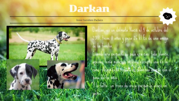 Darkan
