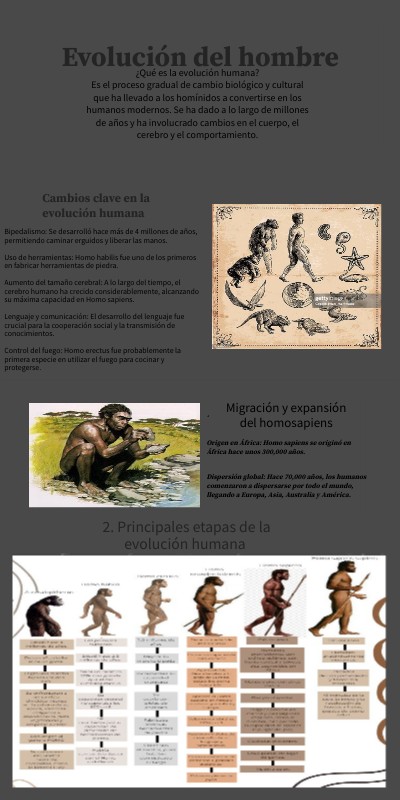 Infografía evolución del hombre | Genially