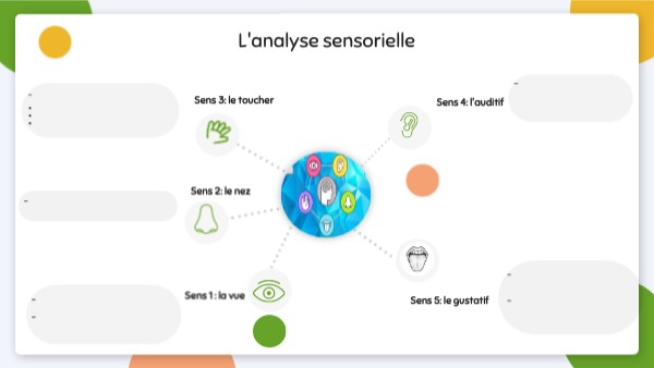 Synthèse analyse sensorielle | Genially