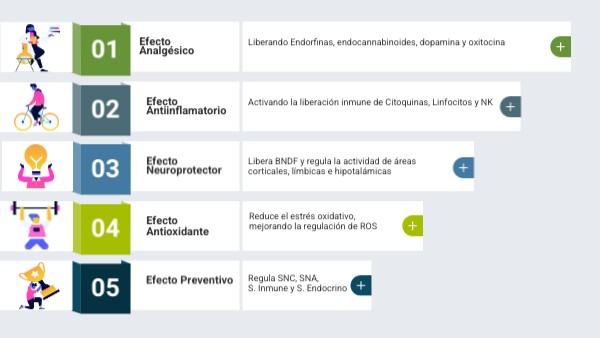 Top 5 ranking | Genially