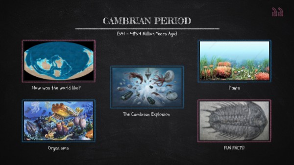 Cambrian Period | Genially