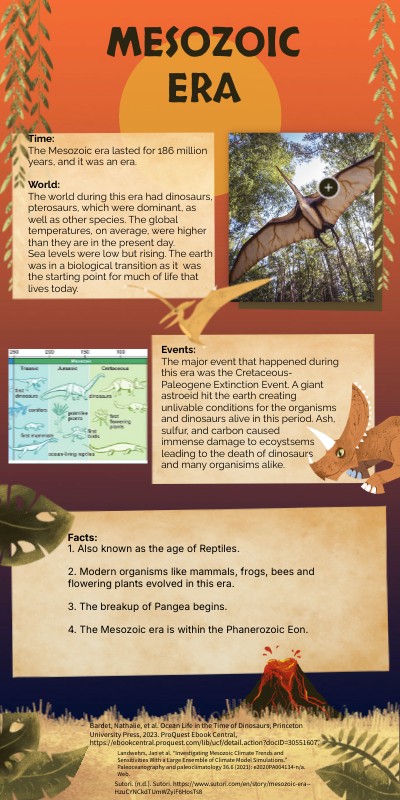 Mini-research project: Geological time