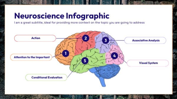 Neuroscience Infographic