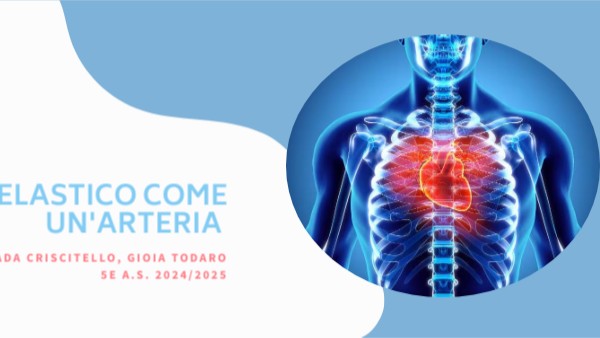 elastico come un'arteria | Genially