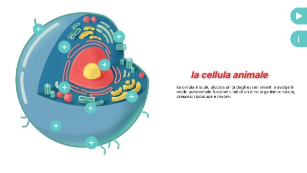 la cellula