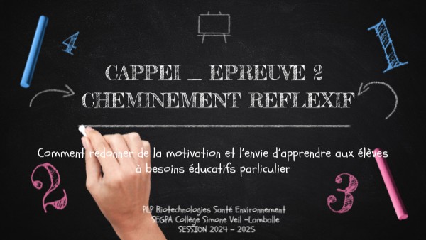 CAPPEI _ EPREUVE 2 CHEMINEMENT REFLEXIF | Genially