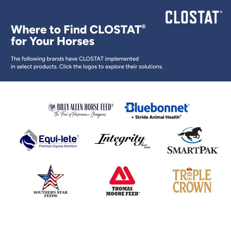 KANA - Equine buy now - CLOSTAT