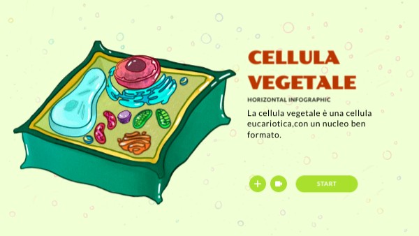 PARTS OF THE PLANT CELL (Student Model) | Genially