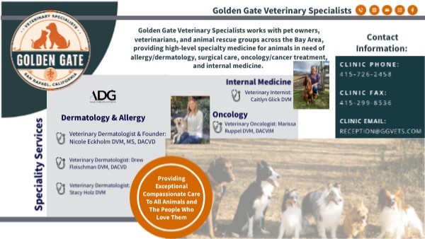 GGVS Flyer | Genially