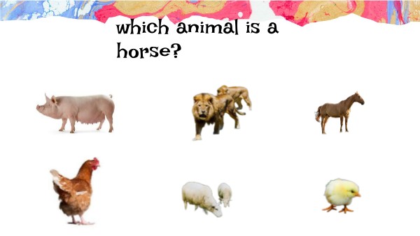 FARM ANIMALS