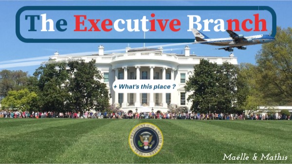 The U.S Executive Branch