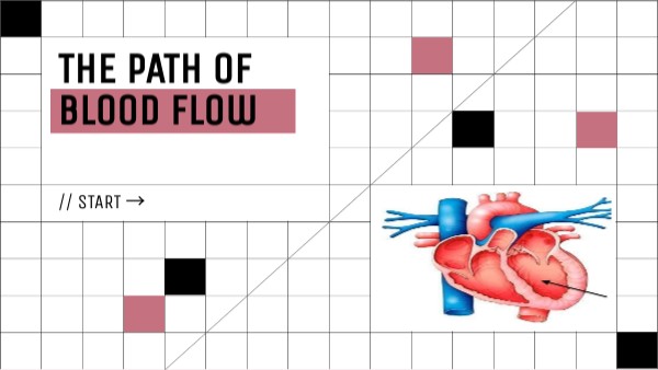 Copy - The path of blood flow