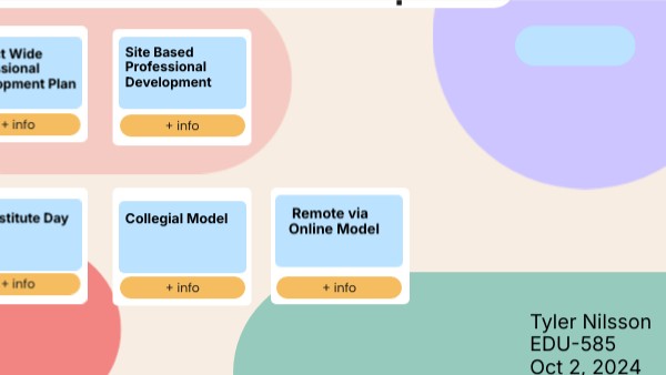 Professional development