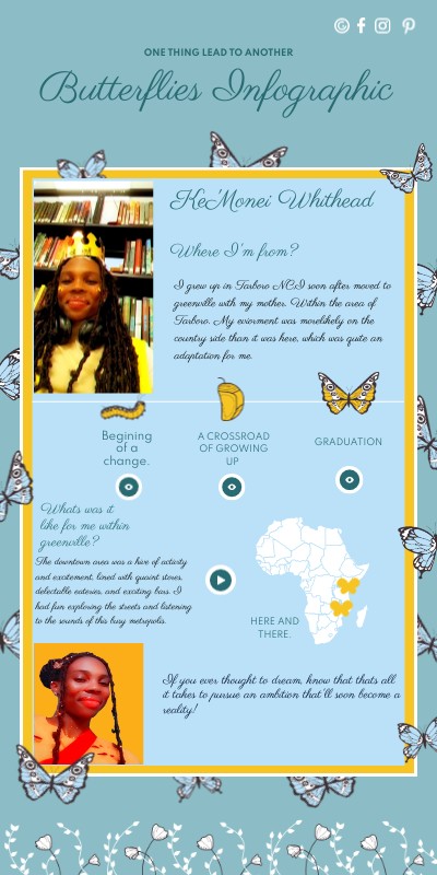 Butterflies Infographic