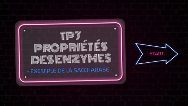 TP7 saccharase | Genially