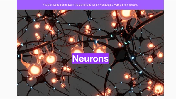 L5 The Brain Flashcard