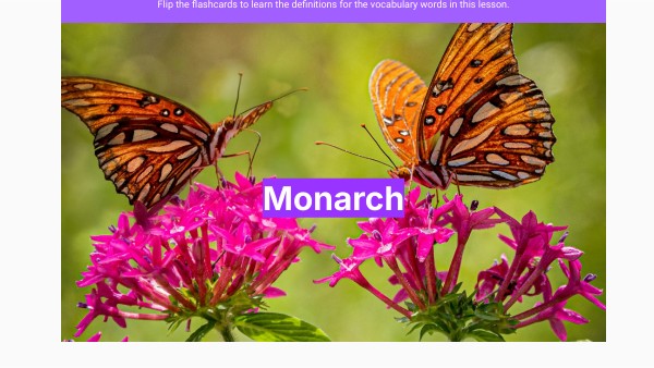 L5 Queen Elizabeth II Flashcard