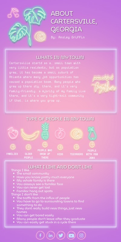 Copy - Florida Neon Infographic
