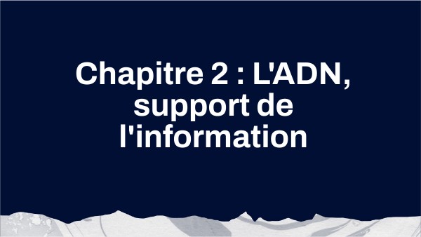 Chapitre 2 l'ADN suite | Genially