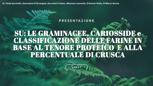 Presentazione Natura