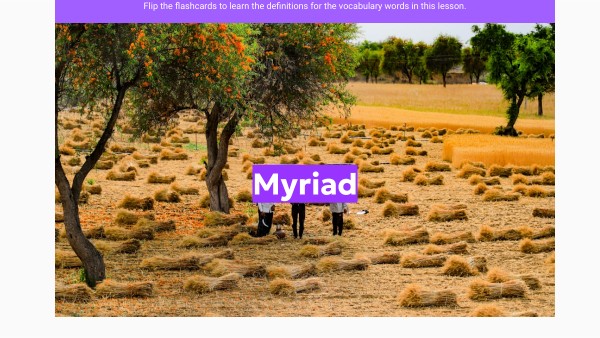 L5 World Records Flashcard