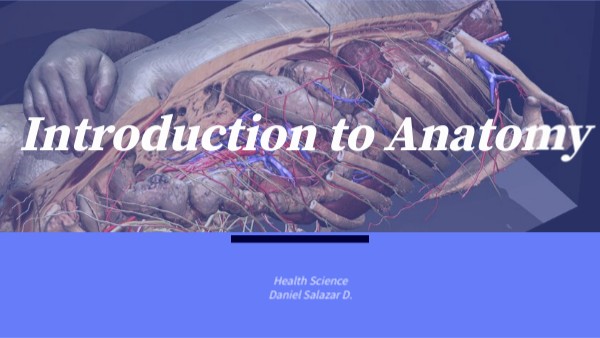 Introduction to anatomy
