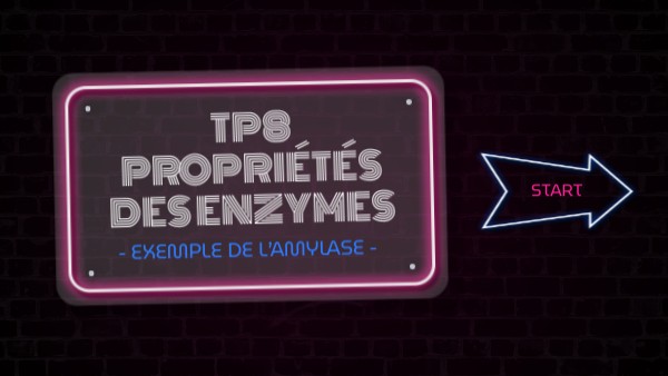 TP8 amylase | Genially