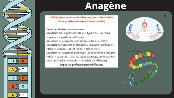 Copie - Oral anagène