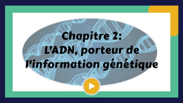 Chapitre 2 ADN