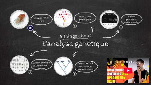 L'analyse génétique | Genially