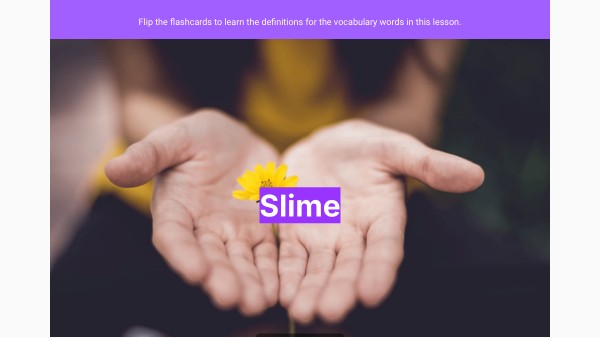 L2 Slime Flashcard