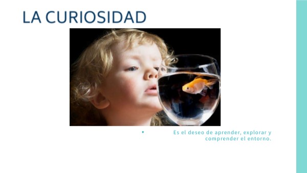 LA CURIOSIDAD