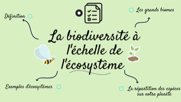 L'échelle écosystémique | Genially