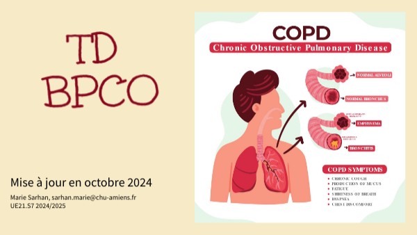 BPCO 2024 | Genially