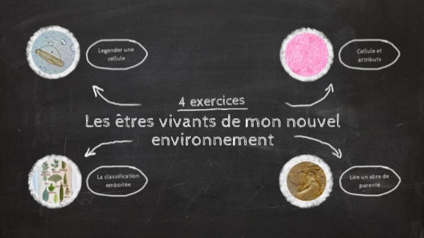 Révisions les êtres vivants de mon nouvel environnement 6e