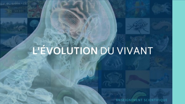 L'évolution du vivant