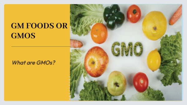 GMOs | Genially