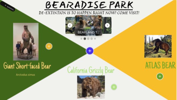 Bearadise Park