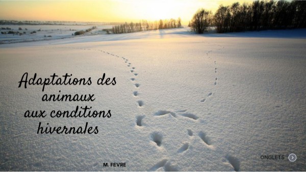 Adaptations des animaux
