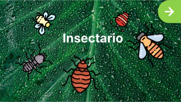 Insectario