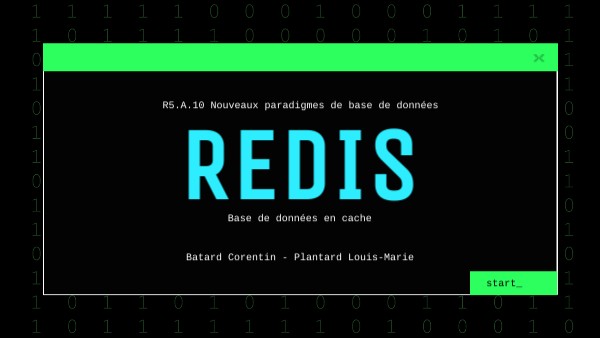Big Data Redis