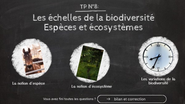 TP7 : échelles de biodiversité