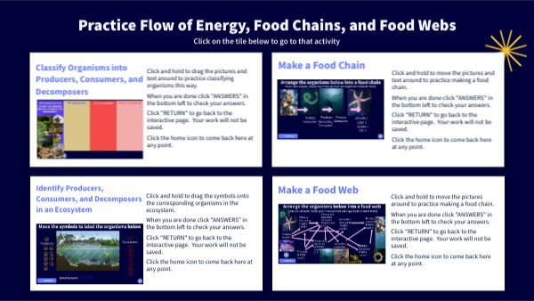 Practice Flow of Energy, Food Chains, and Food Webs