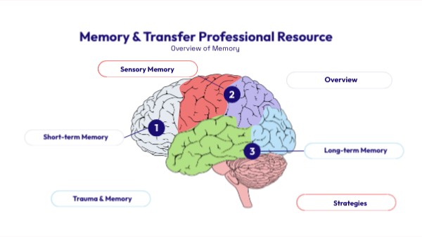 Memory transfer professional resource | Genially
