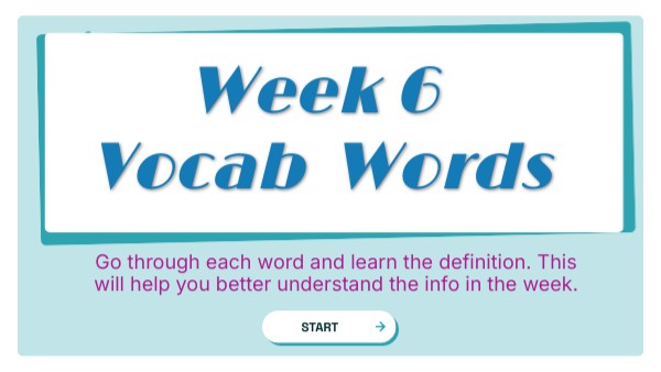 week 6