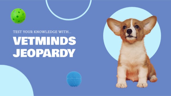 VETMINDS JEOPARDY