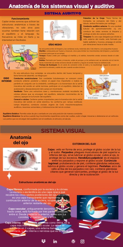 Sistemas visual y auditivo